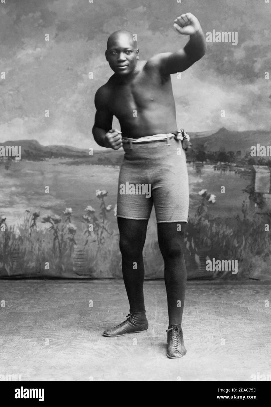 Studio portrait of boxer Jack Johnson, with fists in fighting stance ...