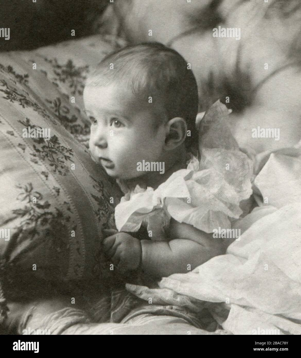 Czarevich alexis romanov hi-res stock photography and images - Alamy