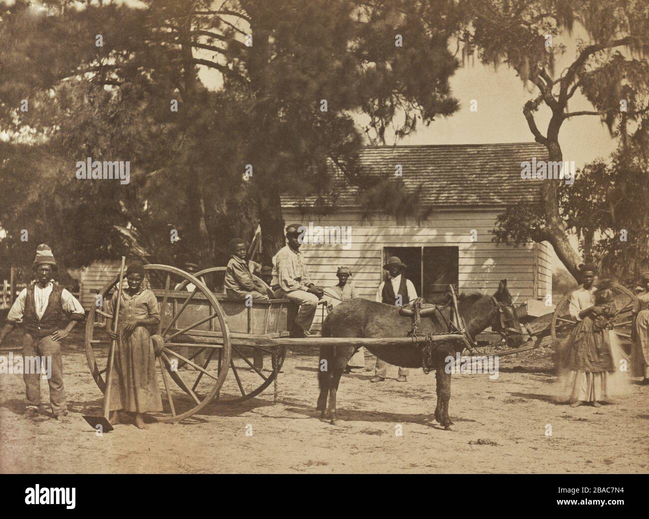 Horse mule and human labor hi-res stock photography and images - Alamy