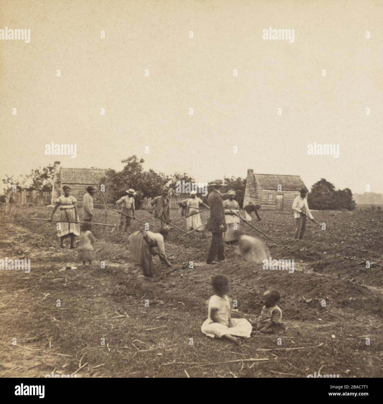 1863 plantation slaves working hi-res stock photography and images - Alamy