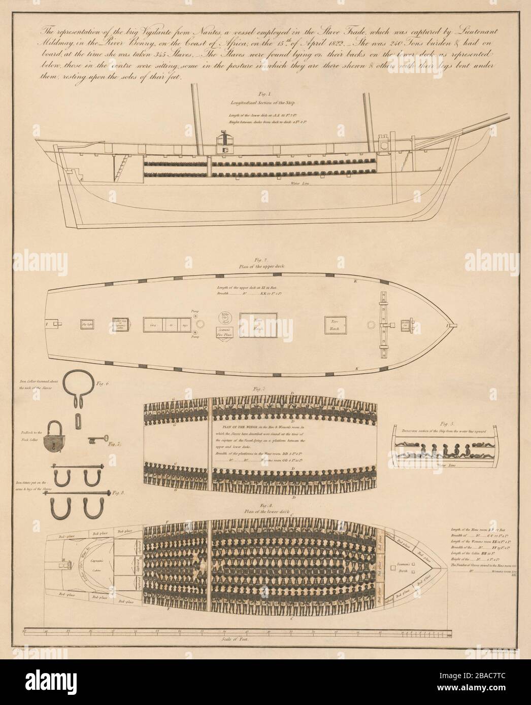 Diagram of a slave ship with its cargo of African men and women ...