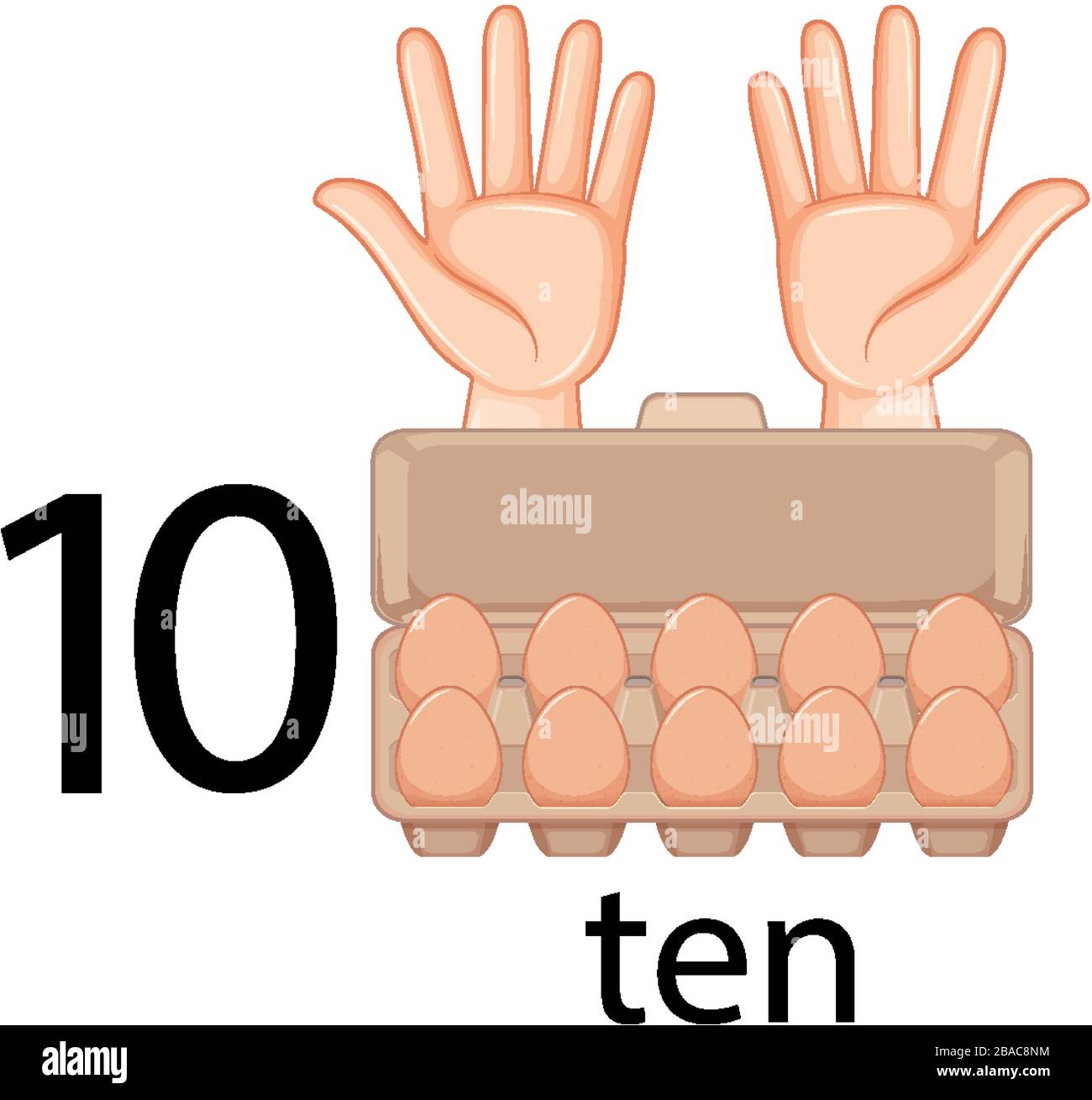 Counting number ten with hand gesture and eggs in carton illustration Stock Vector Image & Art ...