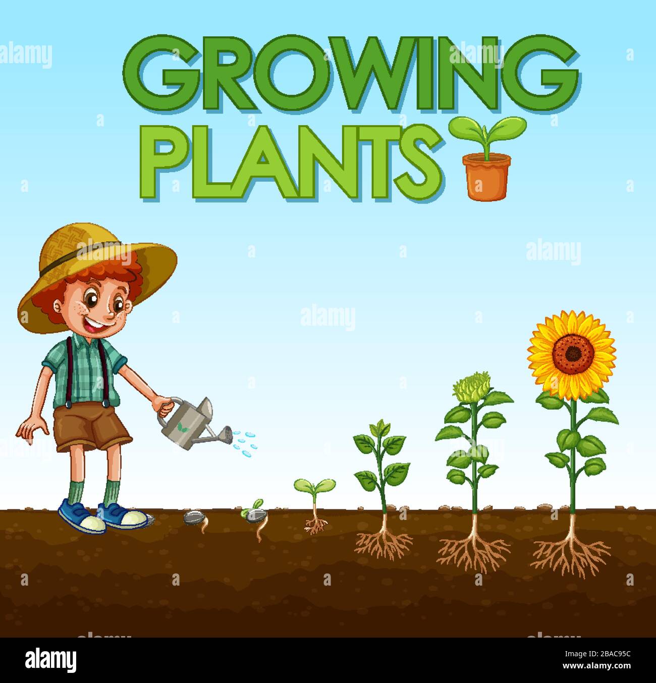 Diagram showing how plants grow from seed to illustration Stock Vector ...