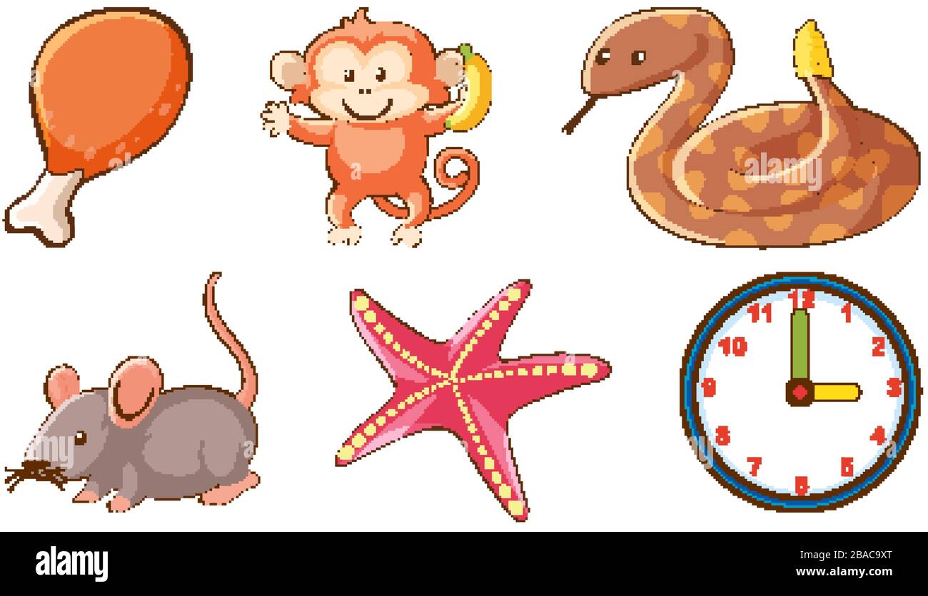 Large set of different animals and other objects on white background ...