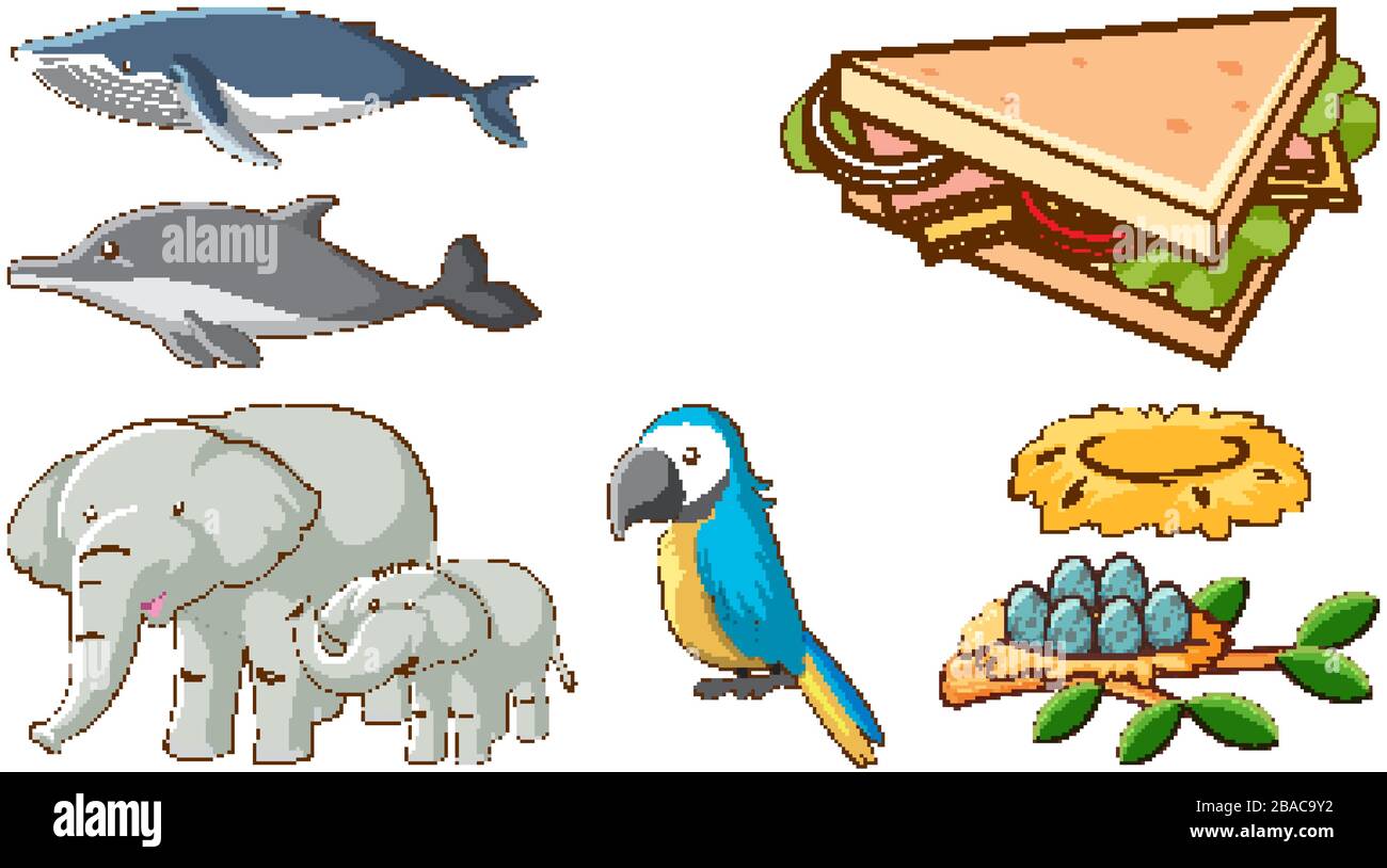 Large set of different animals and other objects on white background ...