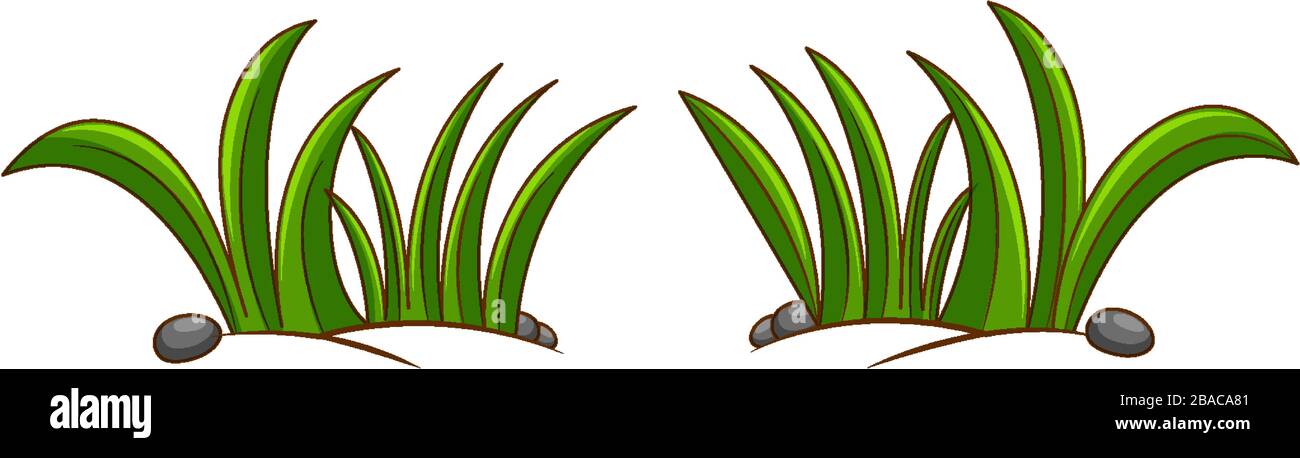 Two bushes on the ground illustration Stock Vector Image & Art - Alamy