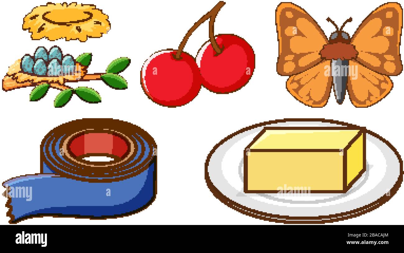 Large set of different animals and other objects on white background ...