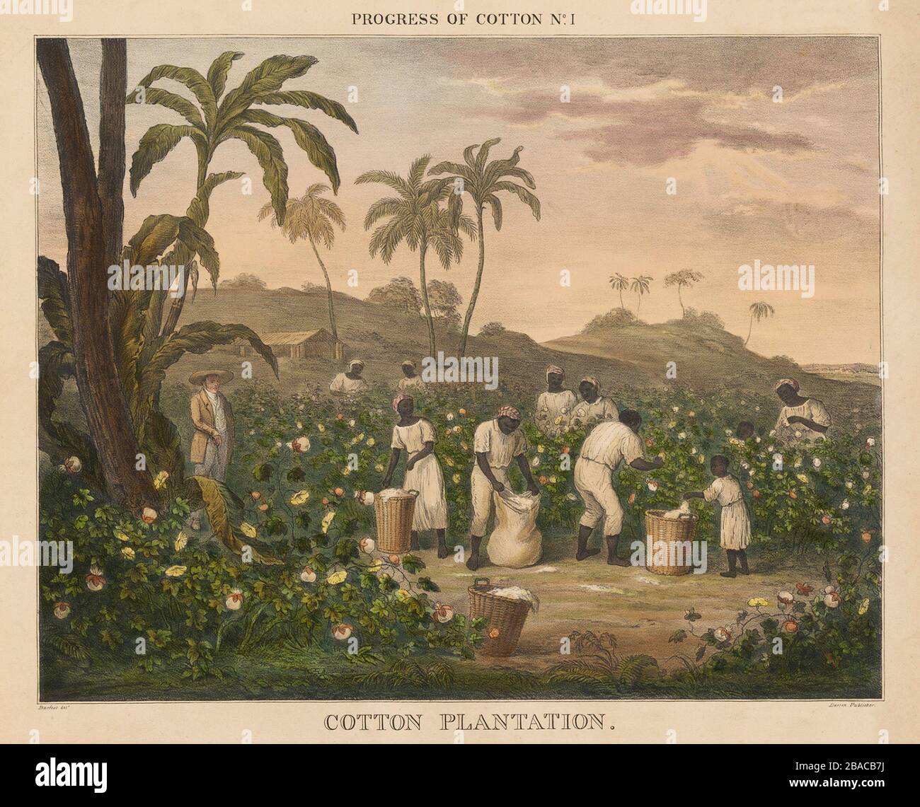 British 1840s depiction the 'Progress of Cotton', by Richard Barfoot, 1 ...