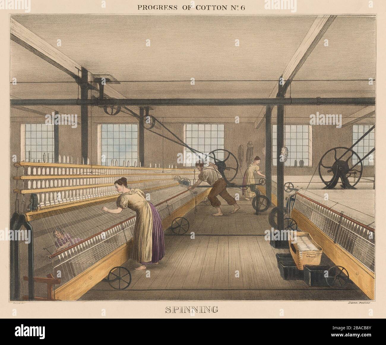 Roving cotton hi-res stock photography and images - Alamy