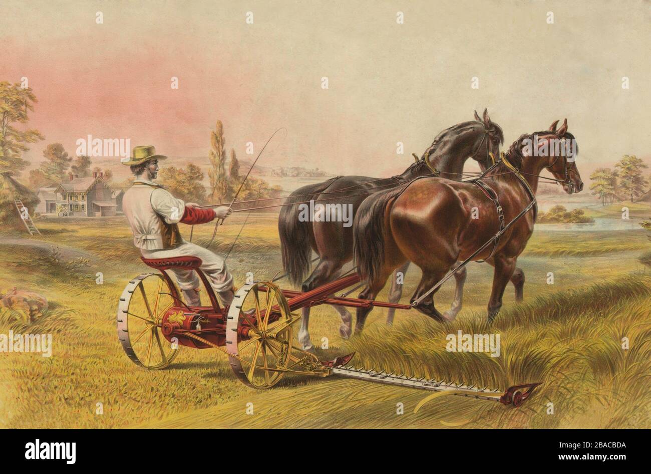 A farmer drives a horse-powered mowing machine, ca. 1870. The mower ...