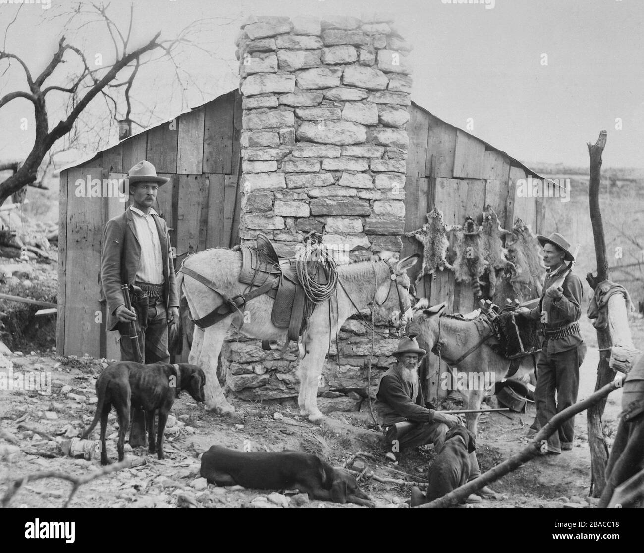 Two novelty chairs Seth Kinman made for presidents of the United States ...