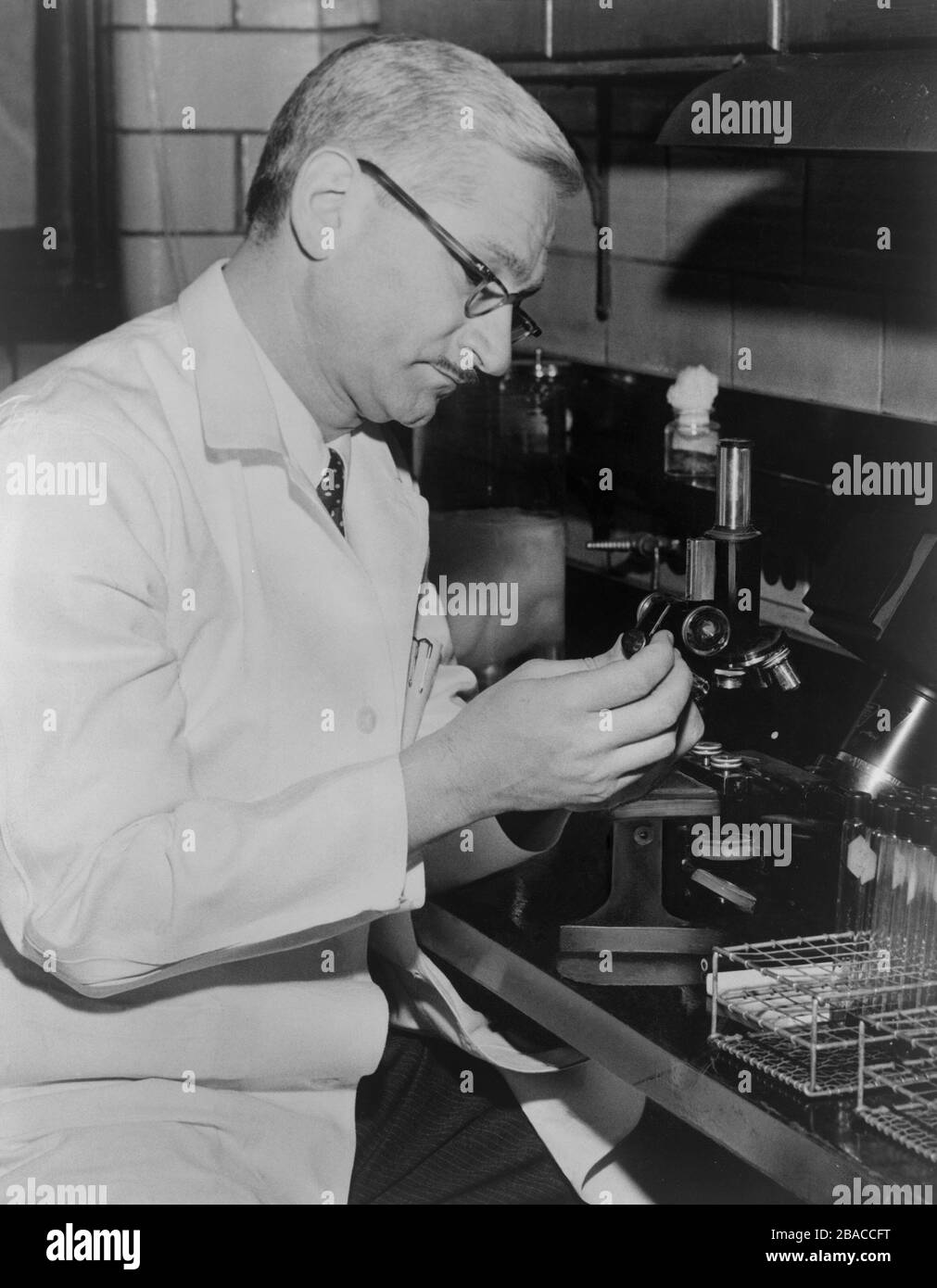 Dr. Albert Sabin, seated at a microscope in 1962. He developed an oral ...