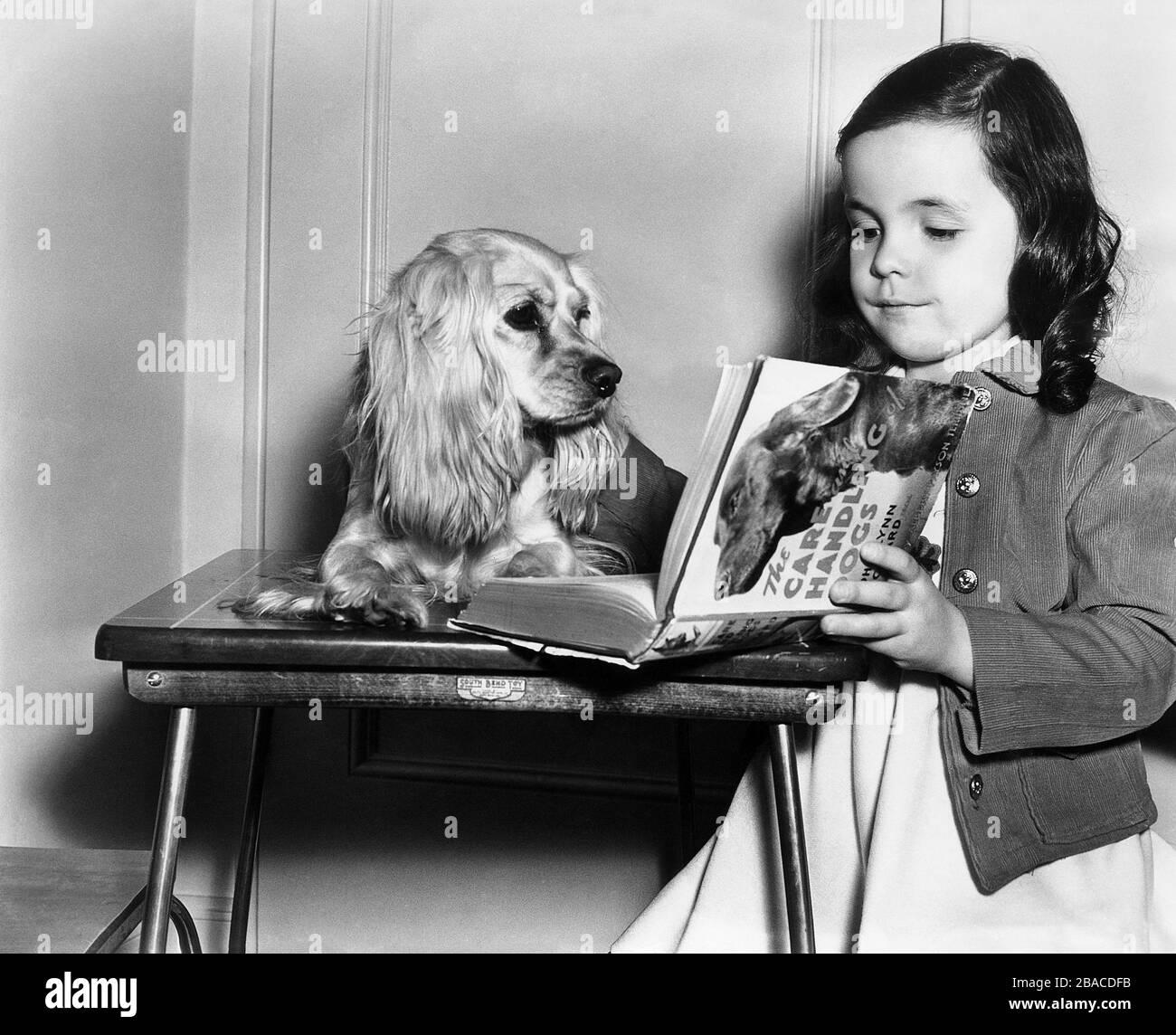 Little girl reading to her dog (OV2019 612) (OV2019 612 Stock Photo - Alamy
