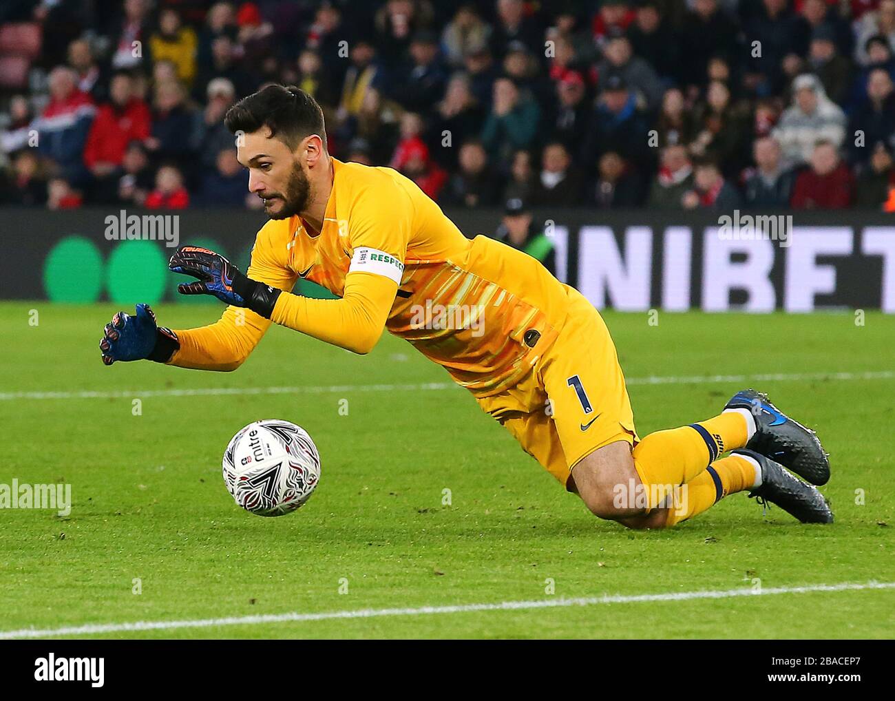 Tottenham Goalkeeper High Resolution Stock Photography and Images - Alamy