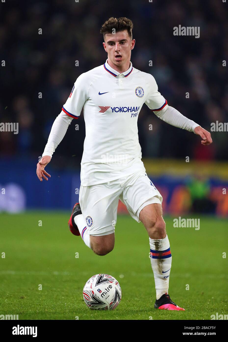 Christian pulisic hi-res stock photography and images - Alamy