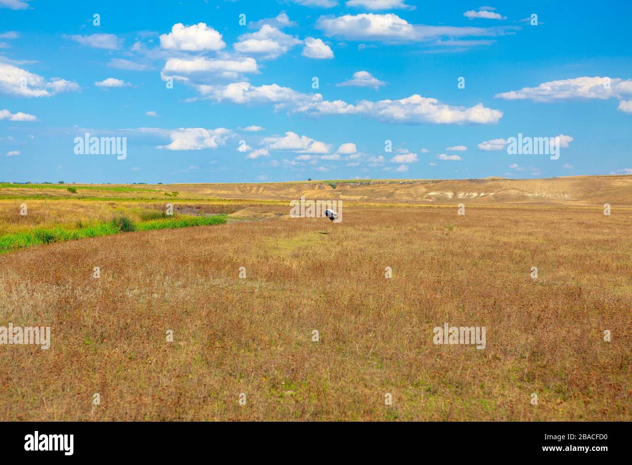 open space of steppe landscape Stock Photo - Alamy