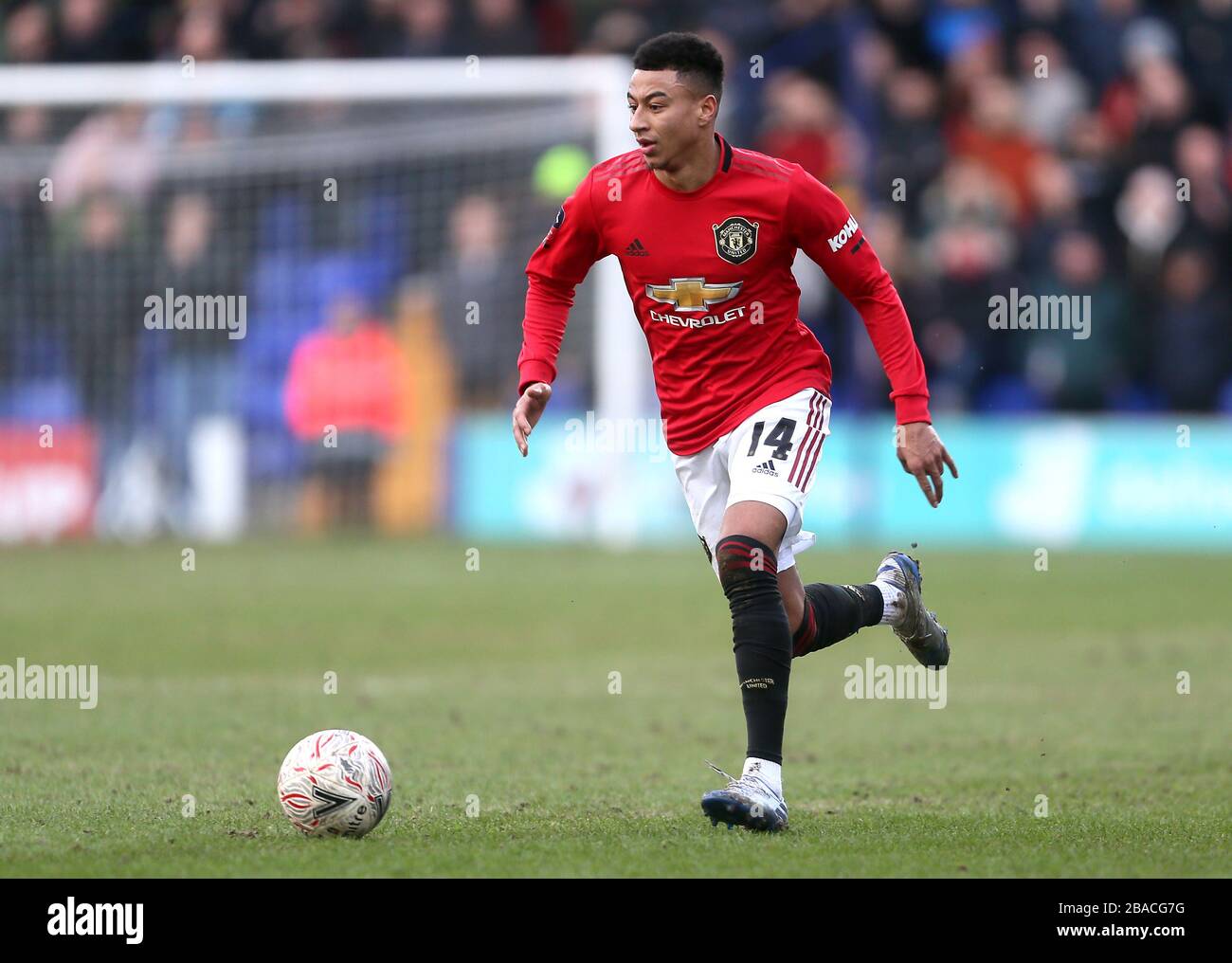 Jesse lingard hi-res stock photography and images - Alamy