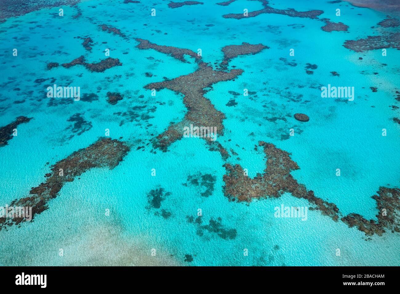 Reef top with lagoon and corals, Ghaafu Dhaalu Atoll, Indian Ocean ...