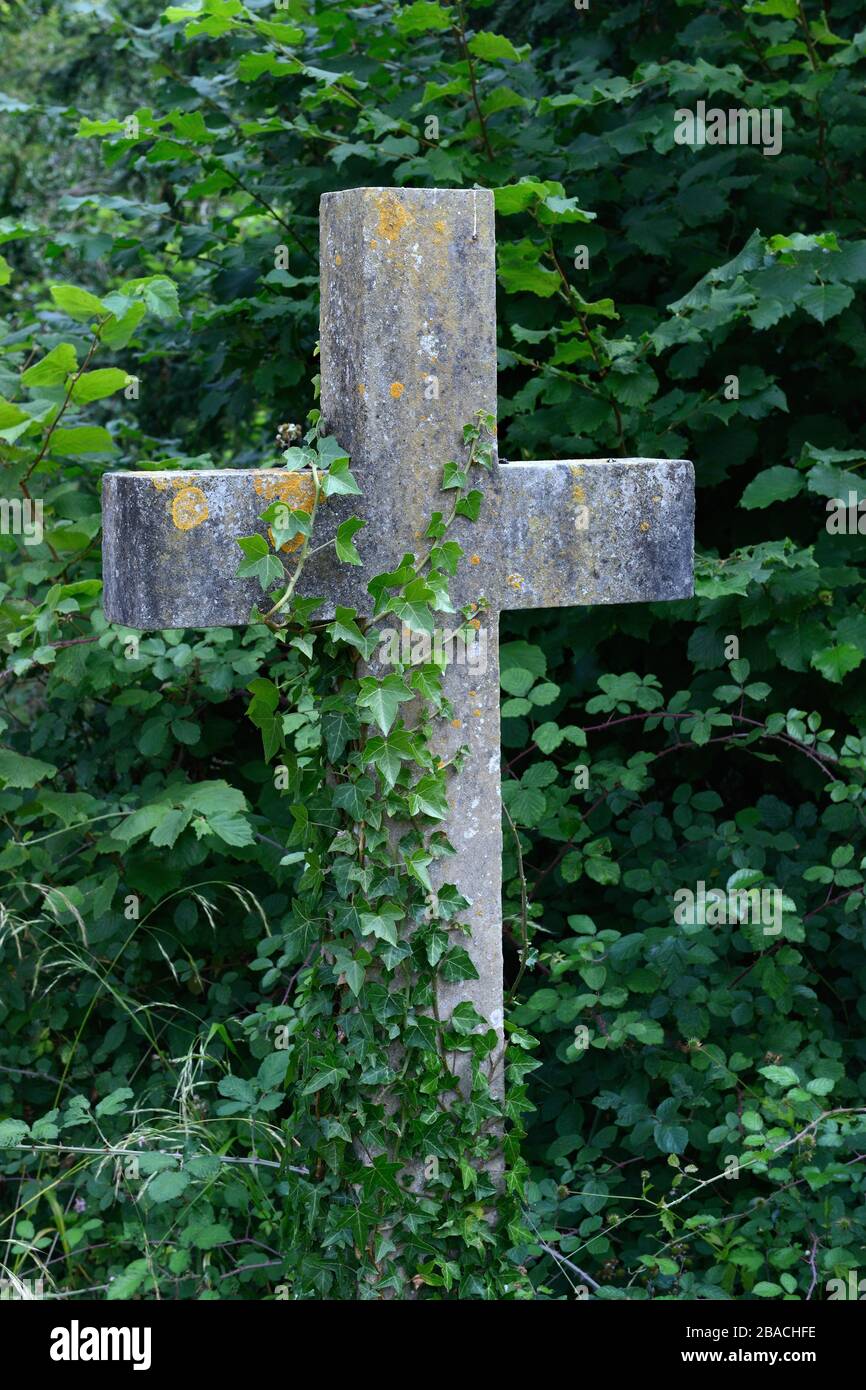 Old grave cross with ivy, England, United Kingdom Stock Photo - Alamy