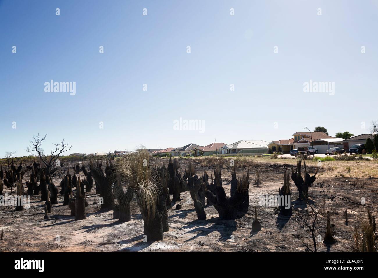 Black summer bush fires hi-res stock photography and images - Alamy