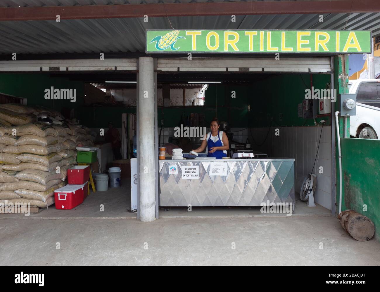 Woman wrapping packages of freshly made tortillas at the local ...