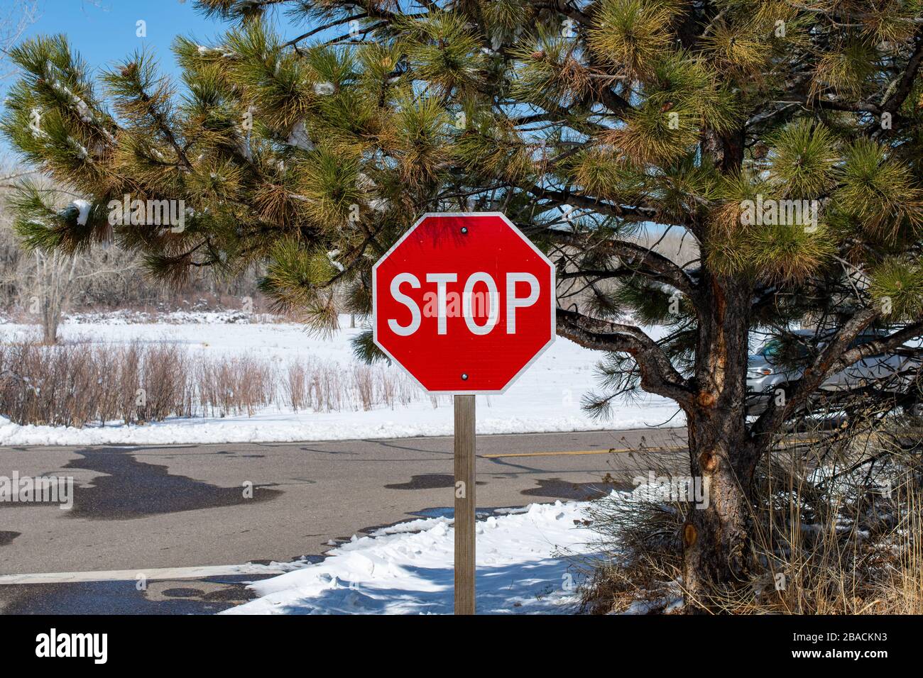 Stop Sign Along the Road in Cherry Creek State Park Stock Photo - Alamy