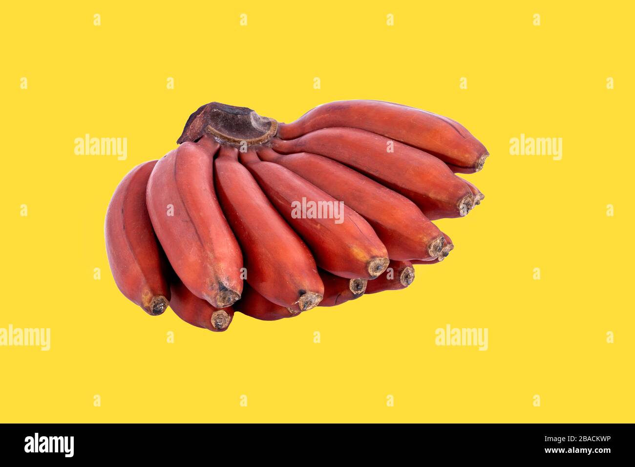 fresh red banana isolated on yellow background. group of varieties of ...