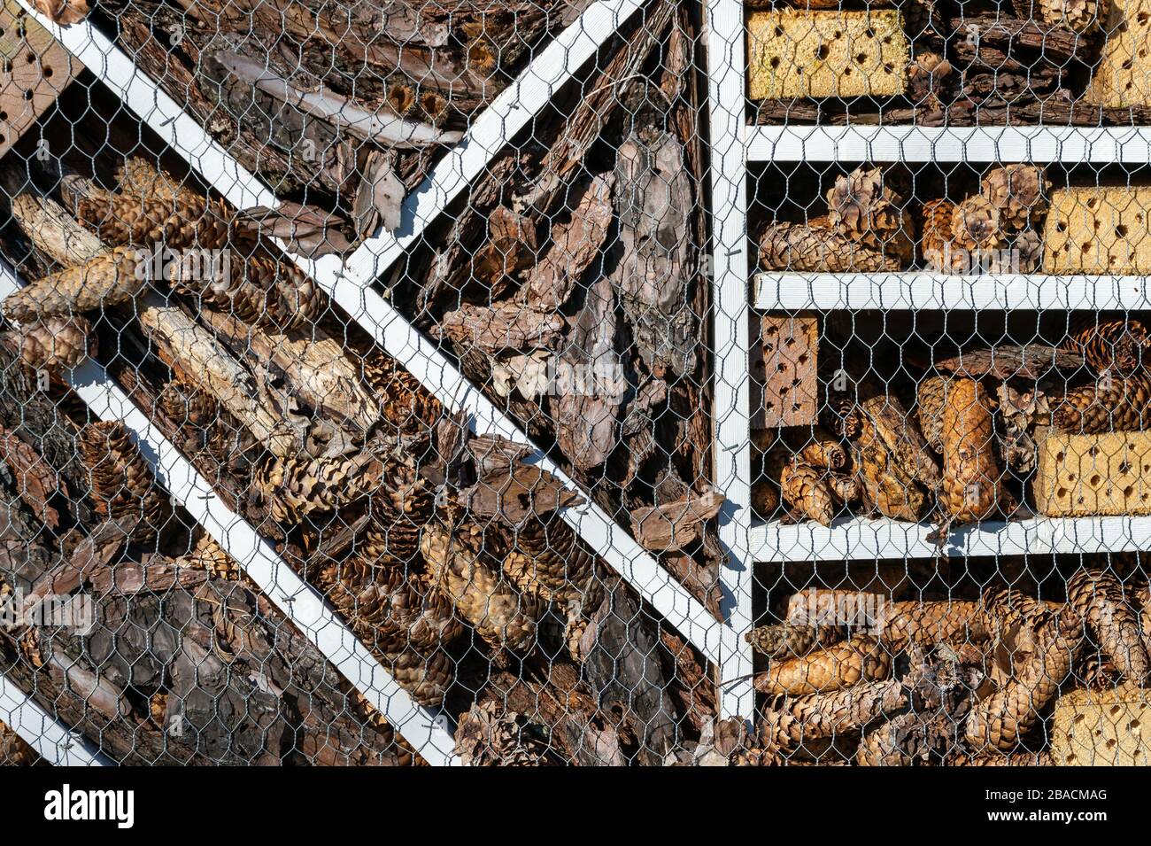 House for bees with pine trees covered with metal grid fence Stock ...