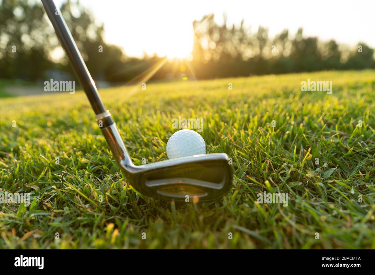Golf clubs and balls Stock Photo - Alamy