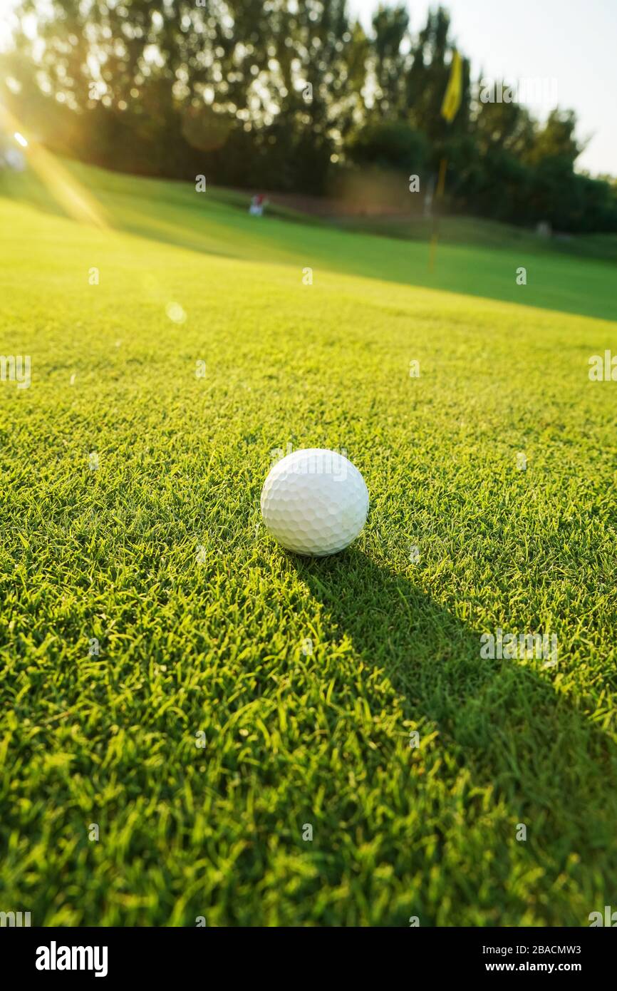 Golf in the sunlight Stock Photo - Alamy