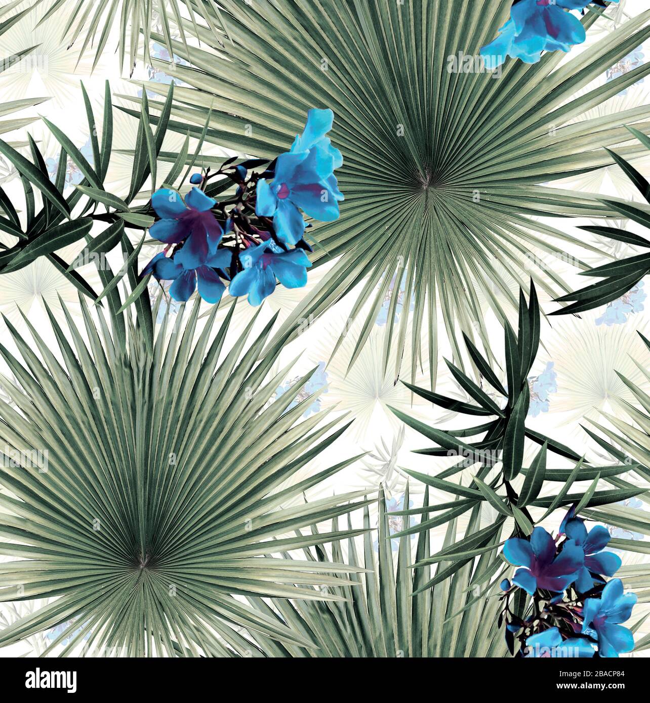 Blue Oleander Flower