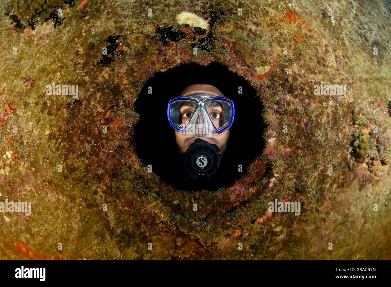 Floating dive site hi-res stock photography and images - Alamy