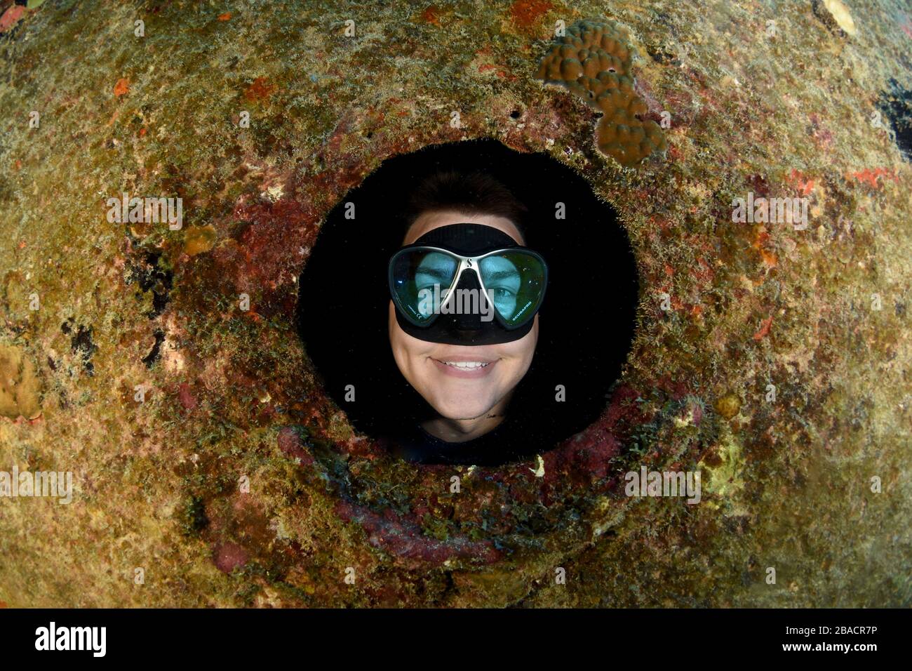 Scuba diver diving head hi-res stock photography and images - Alamy