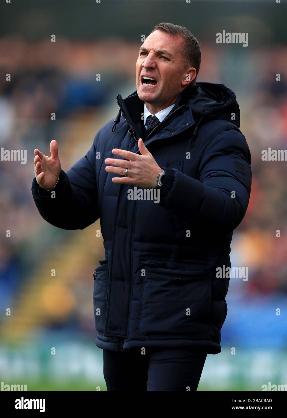 Leicester City manager Brendan Rodgers reacts on the touchline Stock ...