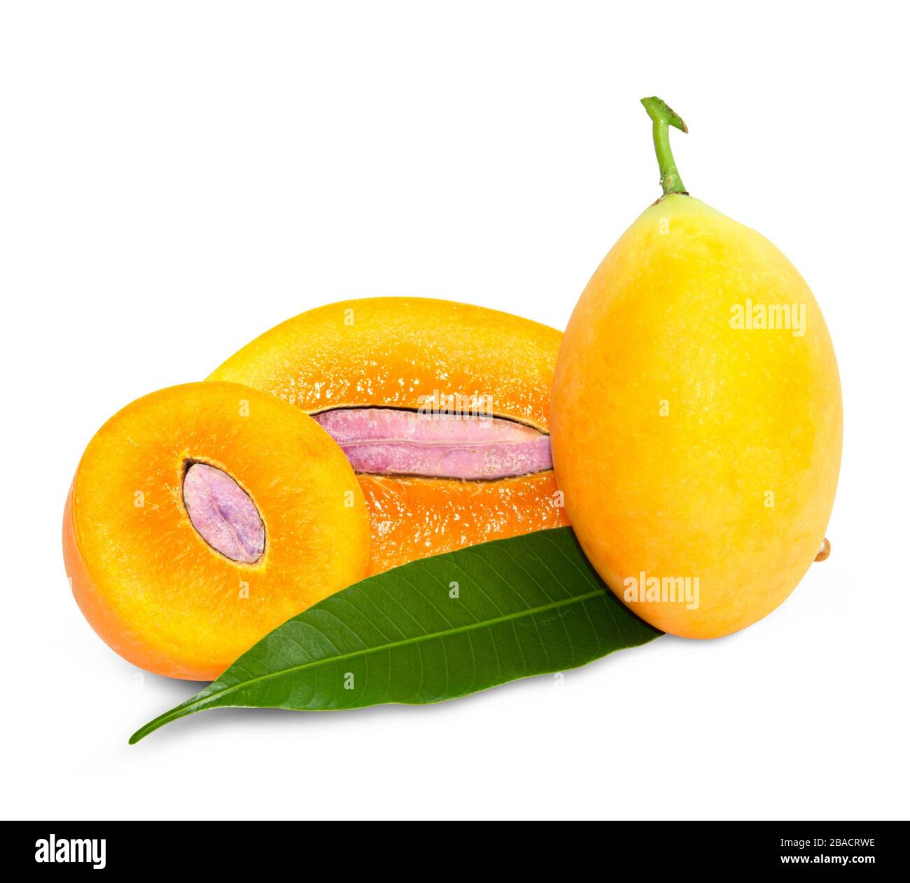 Maprang Fruit (Marian plum, Plum mango) isolated on white background ...