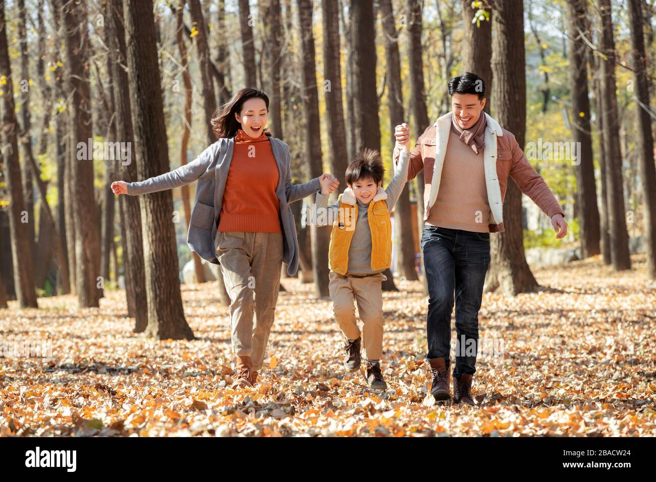Happy family playing outside Stock Photo - Alamy