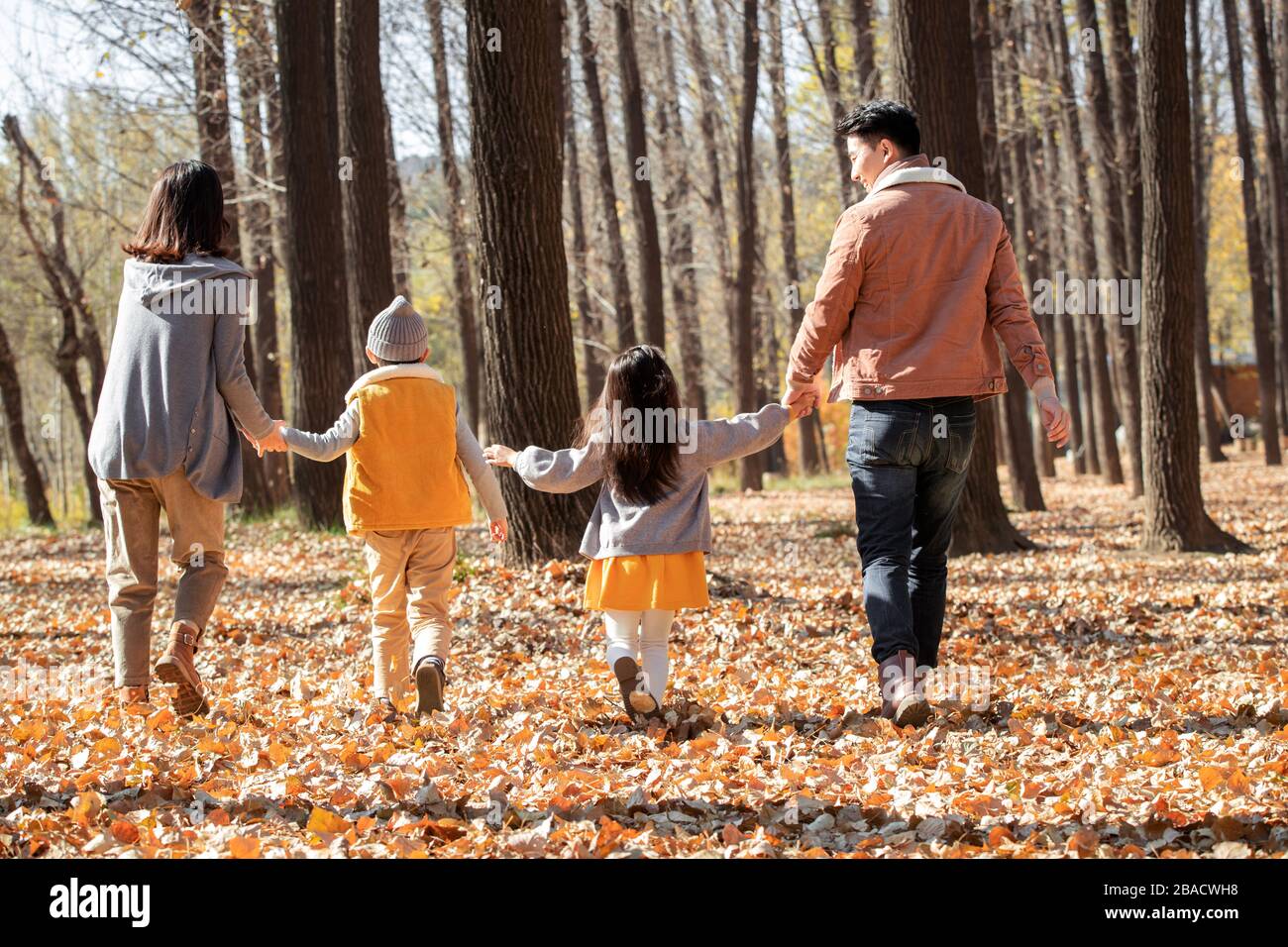 Strolling suburb hi-res stock photography and images - Alamy
