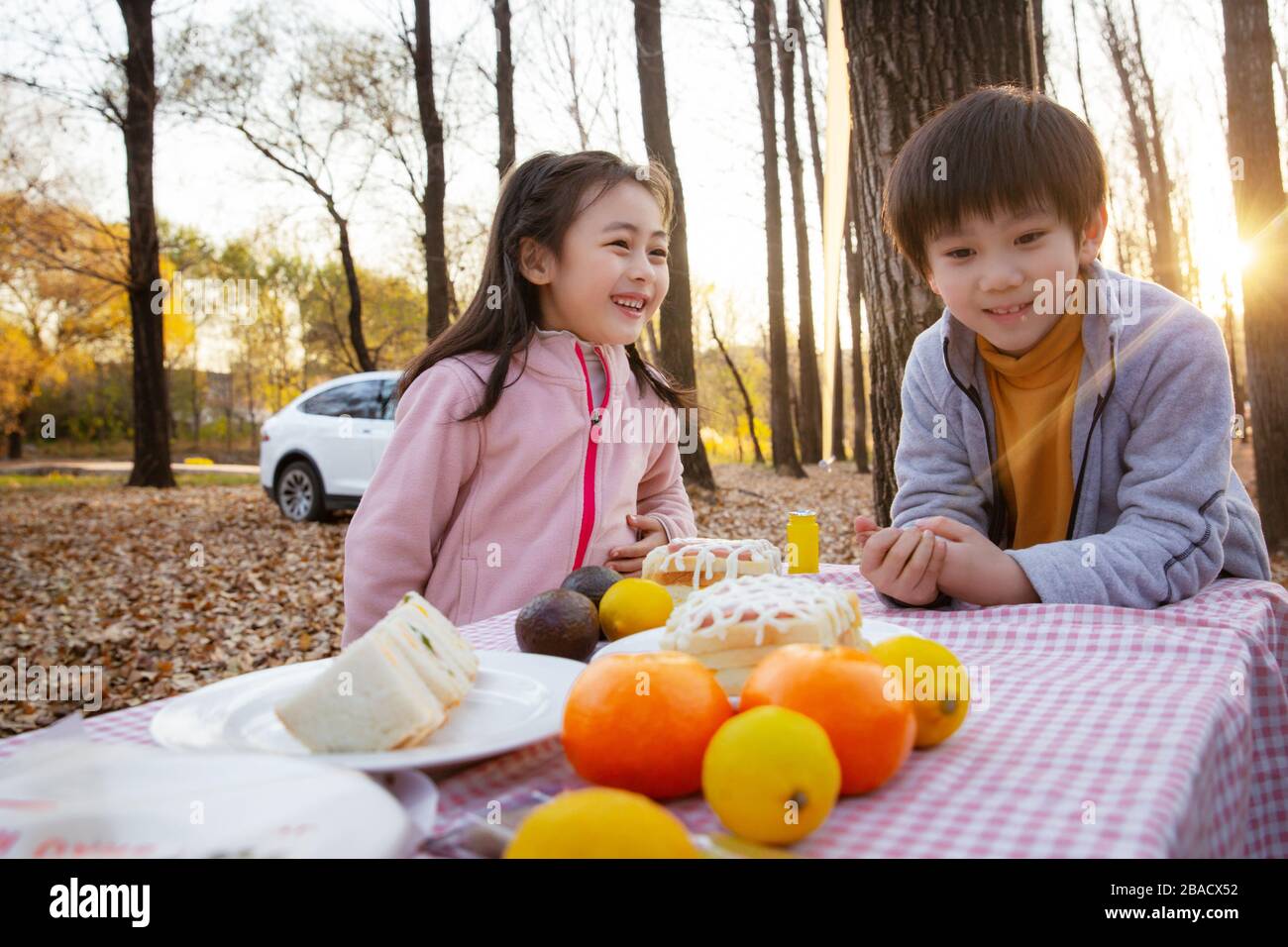 Lovely boys and girls outdoor picnic Stock Photo - Alamy