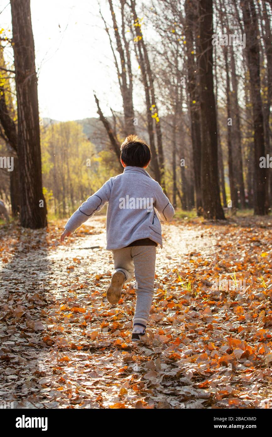 Boy running back hi-res stock photography and images - Alamy