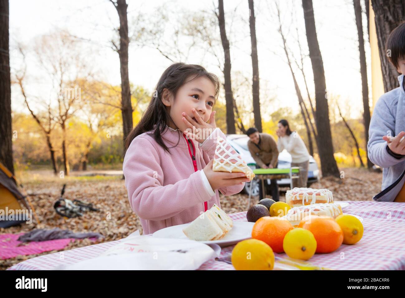 Happy family outdoor picnic in fall Stock Photo - Alamy