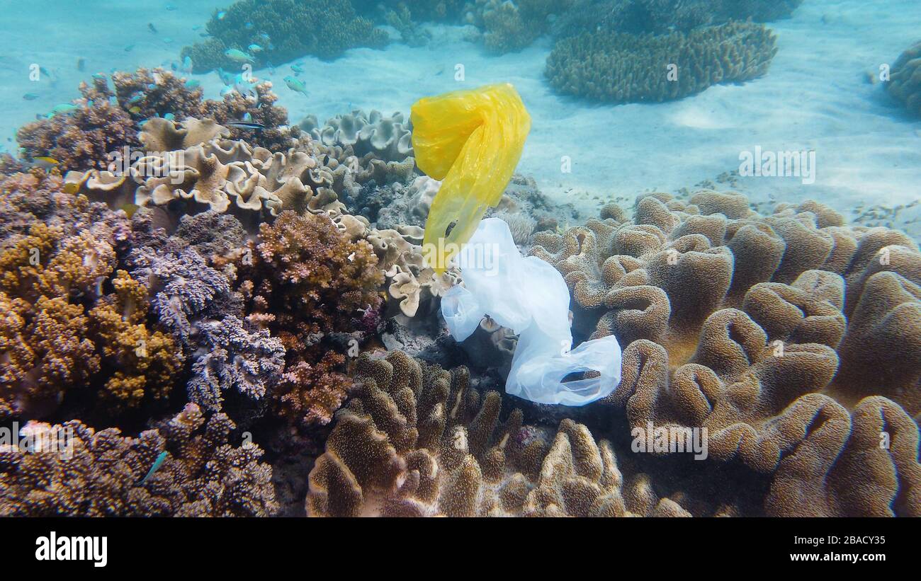 Coral reef pollution by household garbage and plastic bag. Ecological ...