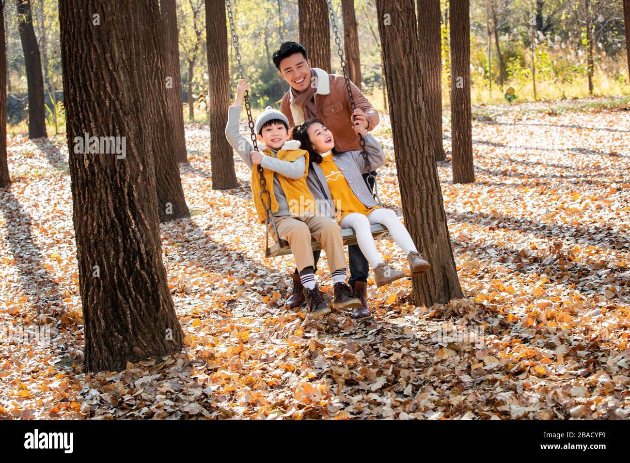 The happy children and father on the swings in the outdoor Stock Photo ...