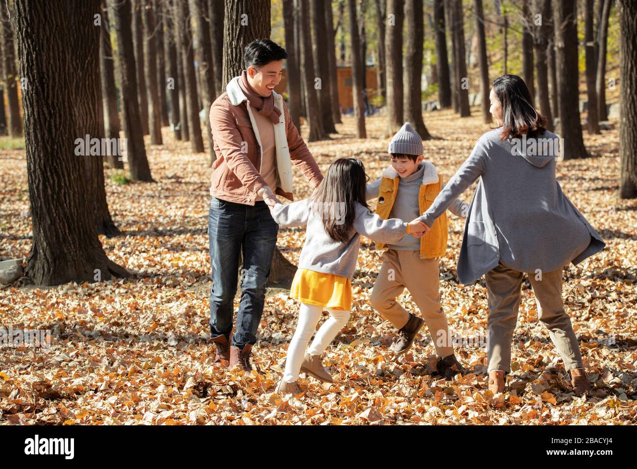 Family hands circle hi-res stock photography and images - Alamy