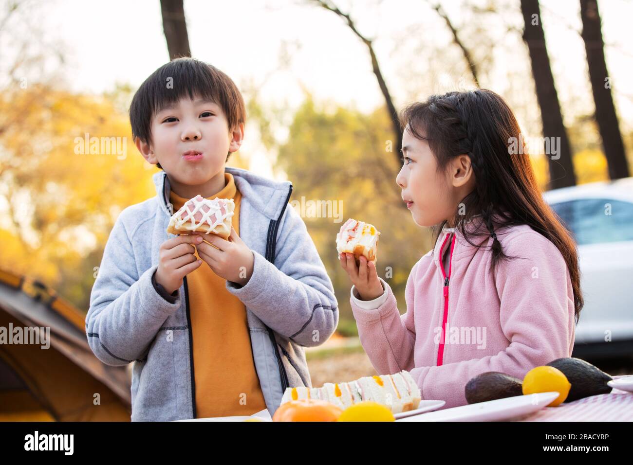 Picnic boys hi-res stock photography and images - Alamy