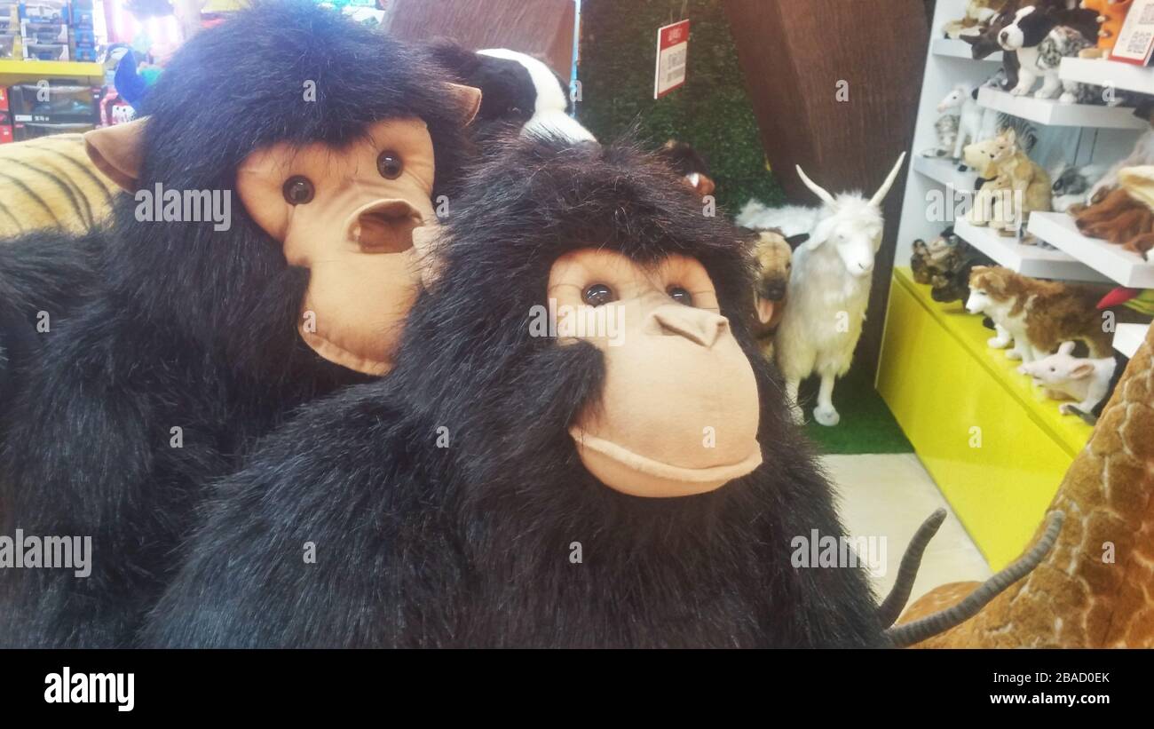 Animal-shaped toys are on display at the toy store, especially the toy ...
