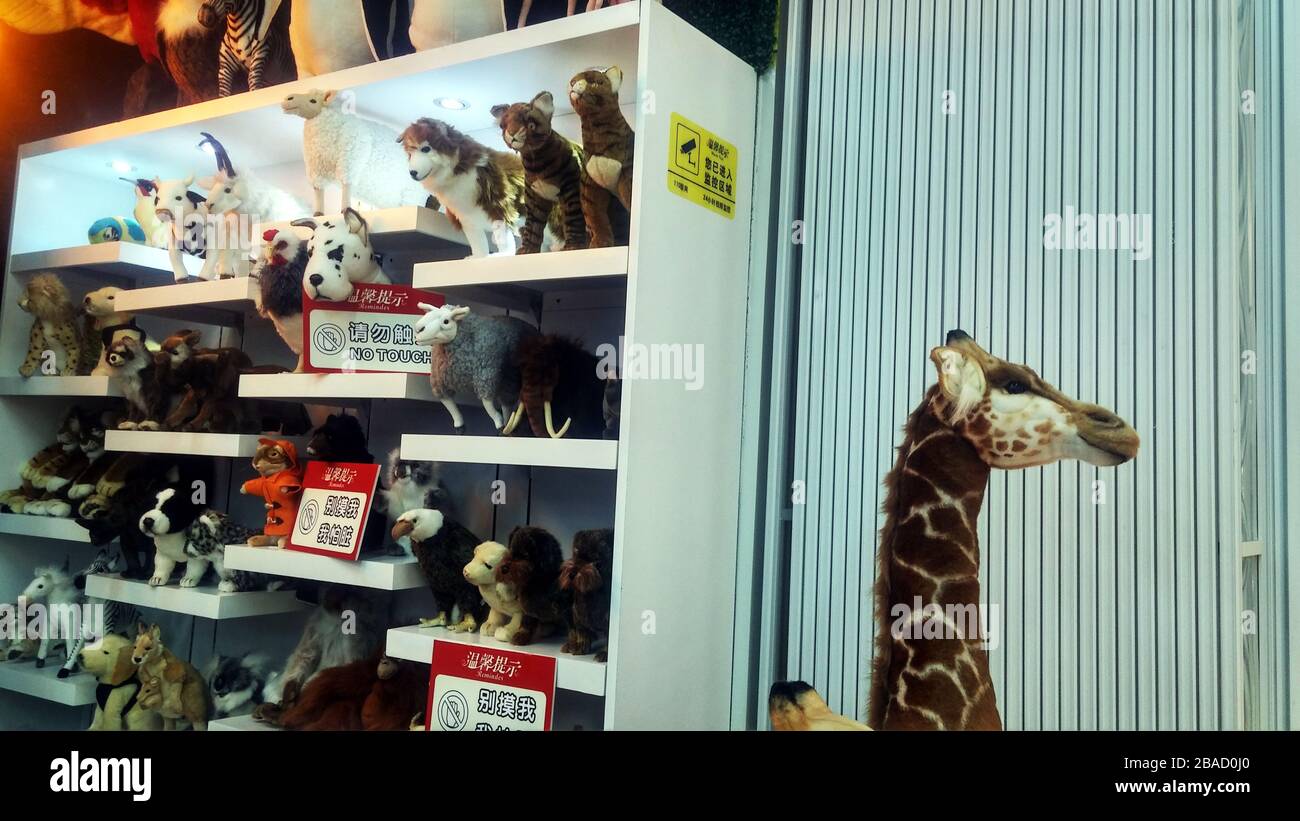 Animal-shaped toys are on display at the toy store, especially the toy ...