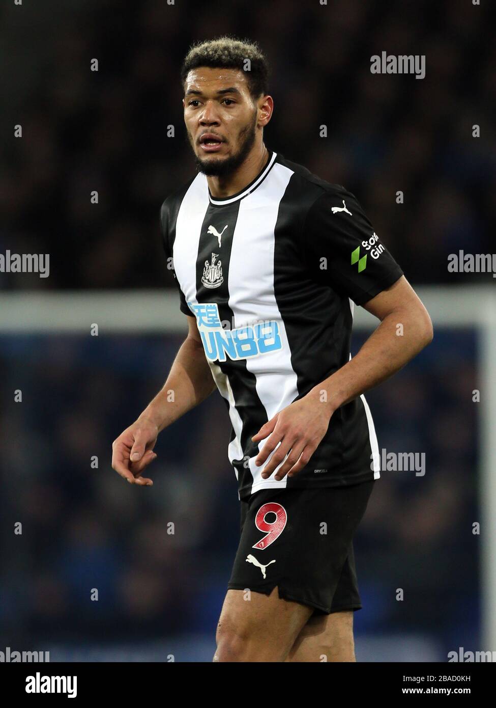Newcastle United's Joelinton Stock Photo - Alamy