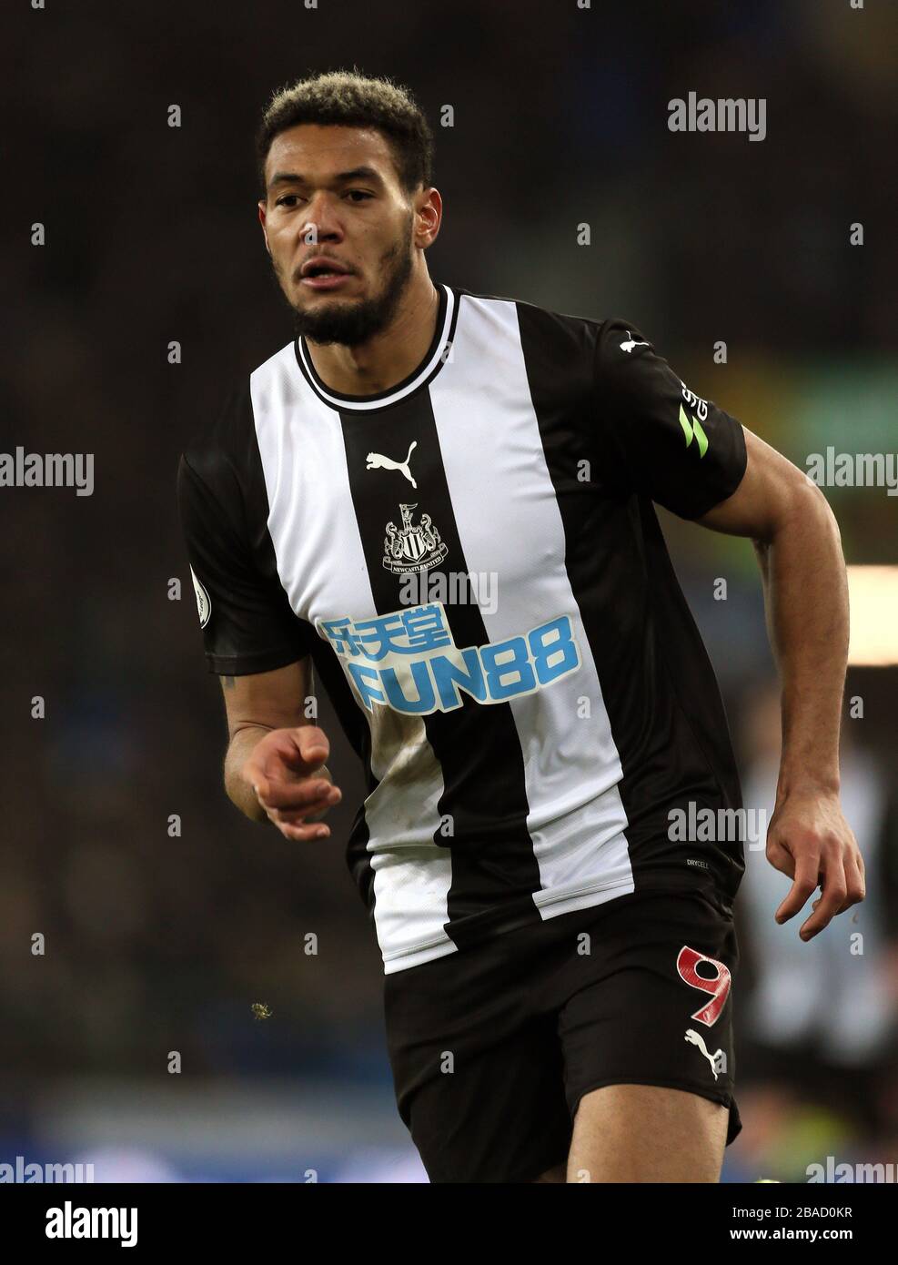 Newcastle United's Joelinton Stock Photo - Alamy