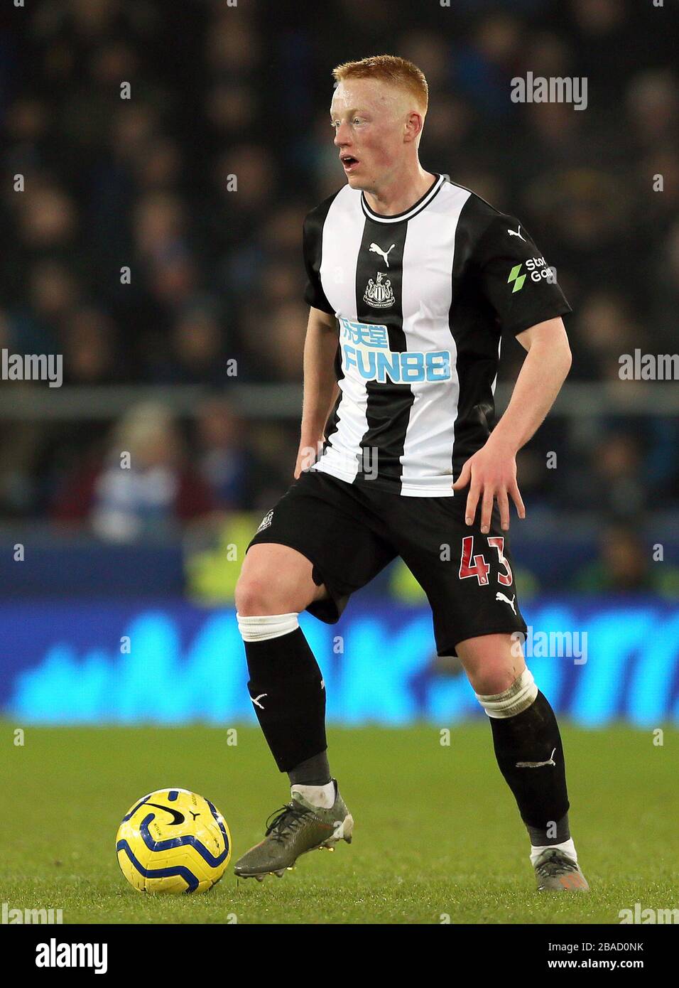 Newcastle United's Matthew Longstaff Stock Photo - Alamy