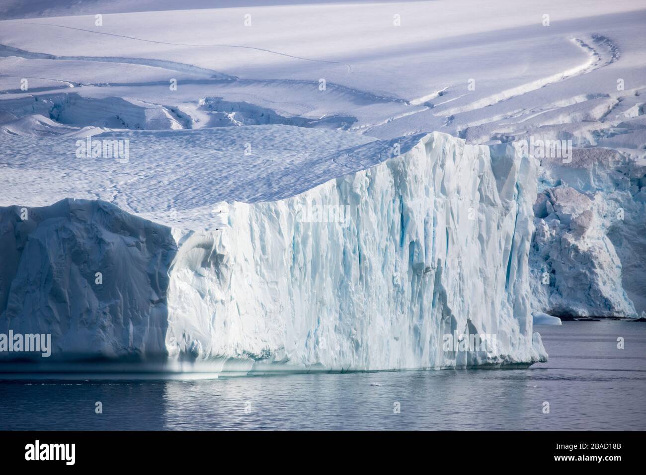 Iceberg floating in Atlantic Ocean Antarctic Peninsular Stock Photo - Alamy